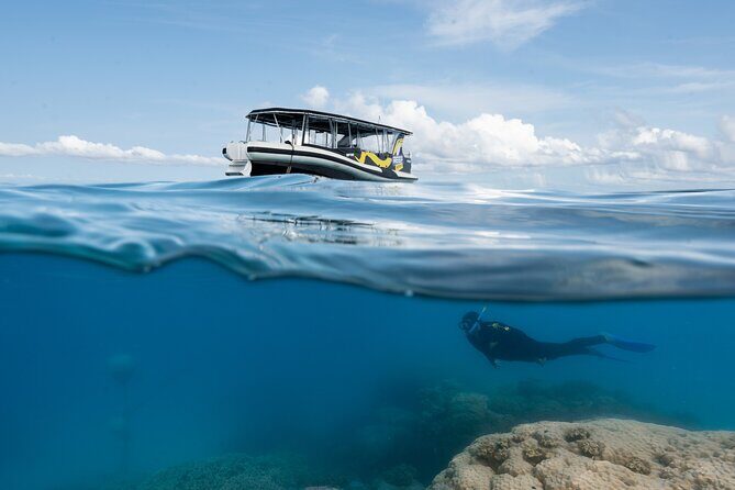 Great Barrier Reef Small Group Snorkelling Adventure - The RealValue of This Tour