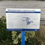 Great Ocean Road reverse Sunrise Tour - Authentic Experiences and Honest Feedback