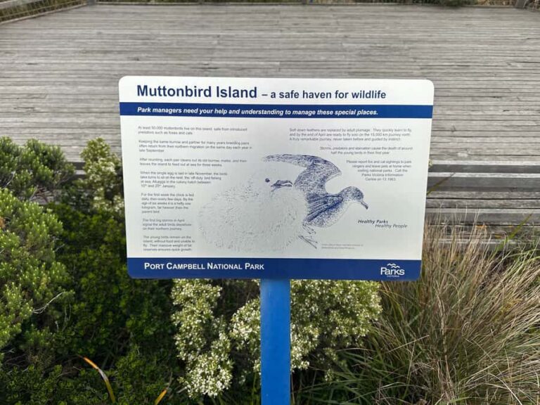 Great Ocean Road reverse Sunrise Tour - Authentic Experiences and Honest Feedback