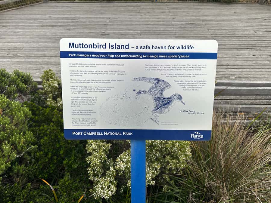 Great Ocean Road reverse Sunrise Tour - Authentic Experiences and Honest Feedback