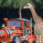 Guangzhou Chimelong Safari Park - Who Should Consider This Tour?