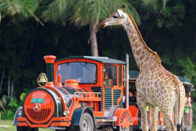 Guangzhou Chimelong Safari Park - Who Should Consider This Tour?