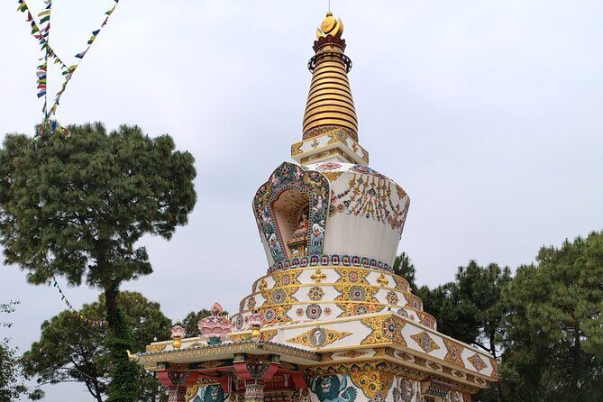 Guided Day Tour to Bir  Monasteries,Temple & Tea Garden Visit - An In-Depth Look at the Bir Monasteries, Temples & Tea Gardens Tour