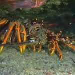 Guided Shore Dive Tour for Certified Divers - Value and Practicalities