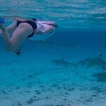 Guided Snorkeling and Relaxation on the Motu Ofetaro in Raiatea - Why This Tour Offers Great Value
