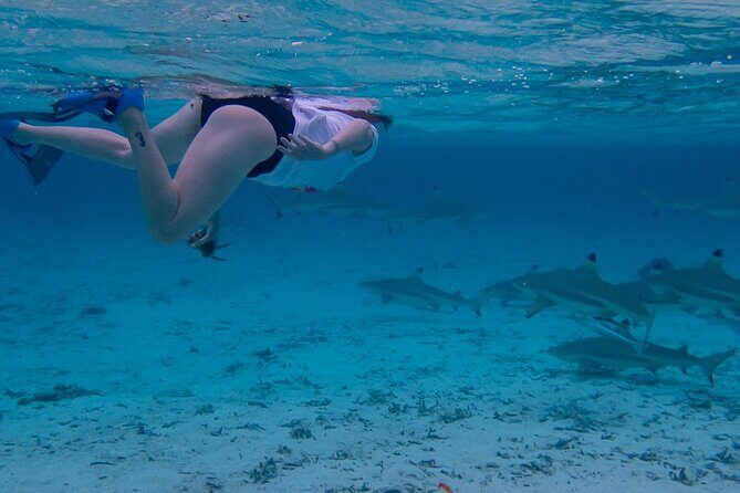 Guided Snorkeling and Relaxation on the Motu Ofetaro in Raiatea - Why This Tour Offers Great Value