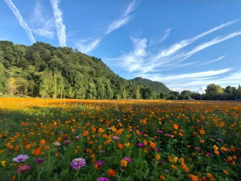 Guiyang: Yelang Valley & Huaxi Shili River Beach Tour - Who Should Consider This Tour?