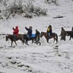 Gulmarg Day Trip: Horse Ride Through Scenic Landscapes - Authentic Traveler Insights