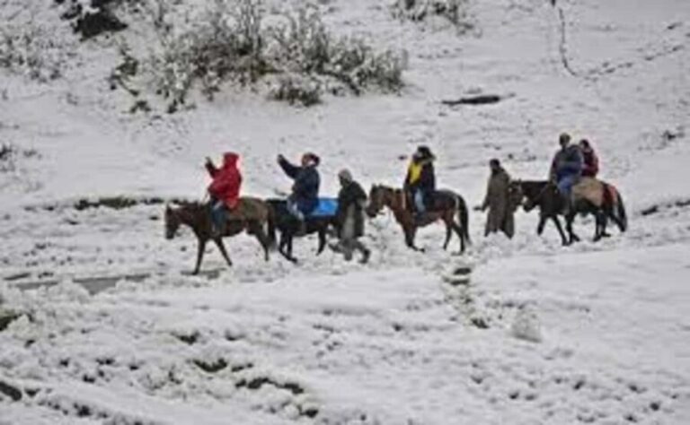 Gulmarg Day Trip: Horse Ride Through Scenic Landscapes - Authentic Traveler Insights