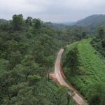 Guwahati Tea Garden Tour with Lunch & Hi Tea (Premium Experience) - The Itinerary in Detail