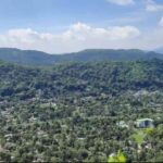 Guwahati Tour 3 Days / 2 Nights - In-Depth Analysis: What Makes This Tour Stand Out?