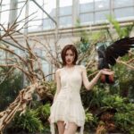 Gyeonggi: Gaypeong Begonia Bird Park Entry Ticket - FAQ