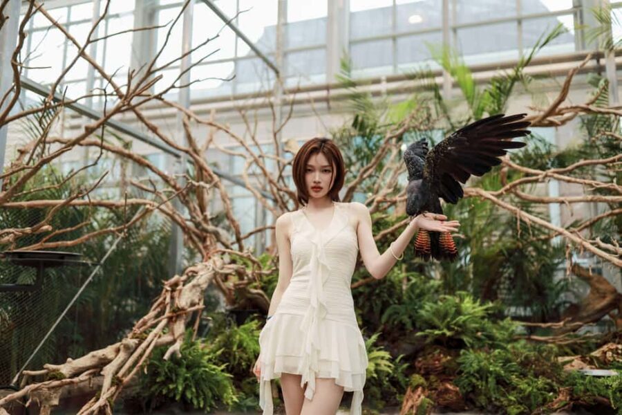 Gyeonggi: Gaypeong Begonia Bird Park Entry Ticket - FAQ