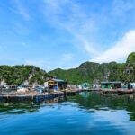 Ha Long Bay - Lan Ha Bay - Cat Ba Island 1 day from Cat Ba Island - The Value of a Well-Organized Tour