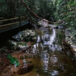 Hainan: A private day trip to Wuzhishan - Exploring Wuzhishan Forest Park