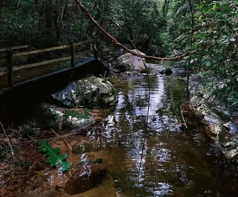 Hainan: A private day trip to Wuzhishan - Exploring Wuzhishan Forest Park