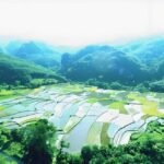 Hainan: Baotu Spring, Changhua, and Wangxia Day Tour - Who Should Consider This Tour?