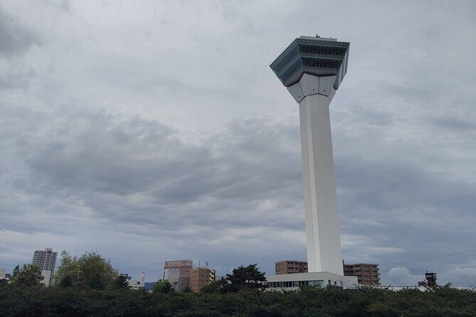 Hakodate: Goryokaku Star Fort & Tower Guided History Tour - Who Should Consider This Tour?