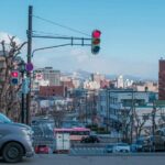 Hakodate Highlights 5 Hours Private Shore Excursion - Practical Details and Tips