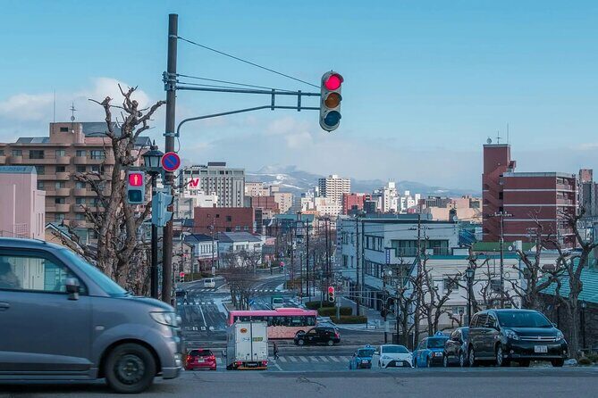 Hakodate Highlights 5 Hours Private Shore Excursion - Practical Details and Tips