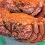 Hakodate: Morning Market Tour with Seafood Tasting Options - The Value Proposition