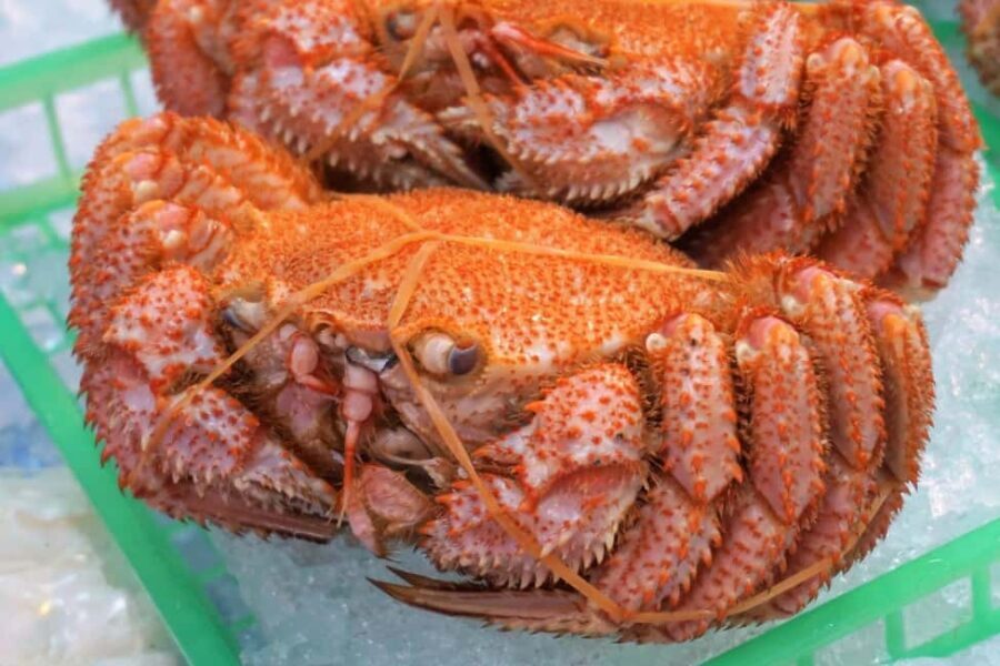 Hakodate: Morning Market Tour with Seafood Tasting Options - The Value Proposition