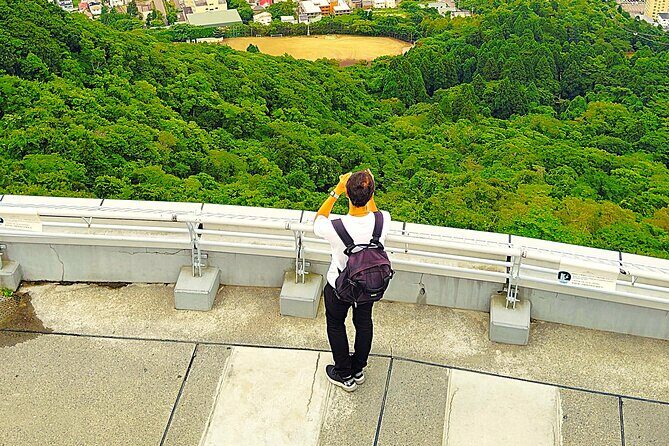 Hakodate: Romantic Port Walk & Mt. Hakodate Night View - Practical Details and Logistics
