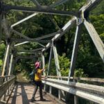 Hakone Valley Hike, Forest Bathing and Wagashi shop (Half-day) - Cultural Indulgence at a Wagashi Shop