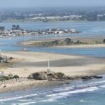 Half Day Christchurch Scenic Tour with Local Guide - What Makes This Tour Stand Out?