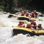 Half Day Elephant care and Whitewater Rafting Adventure - The Practical Details
