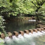 Half-Day Hangzhou Nine Creeks Hiking Tour with Tea Plantation Experience - An In-Depth Look at the Hangzhou Nine Creeks & Tea Village Tour