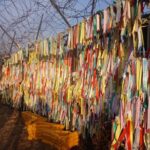 Half Day Korea DMZ Tour (hotel pick up) / opt: suspension bridge - Why This Tour Offers Real Value