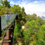 Half-Day Perth & Fremantle Private Tour - A Close Look at the Itinerary