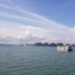 Halong Bay Shore Excursion: Full Day Cruise Tour from Cruise Port - A Deep Dive into the Experience