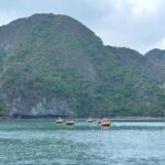 Halong Day Trip From Hanoi - Detailing the Experience: What You’ll Actually Do