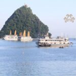 Halong Luxury Cruise 2D/1N: Kayaking, Swimming, Titop island, meals, best prices - What Makes This Cruise Stand Out?