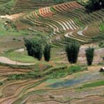 Hanoi: 3-Day Adventure Rice Terraces and Fansipan Summit - Final Thoughts on Value and Suitability