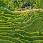 Hanoi: 4-day tour Immersion in the heart of the villages of northern Vietnam - What Makes This Tour Stand Out