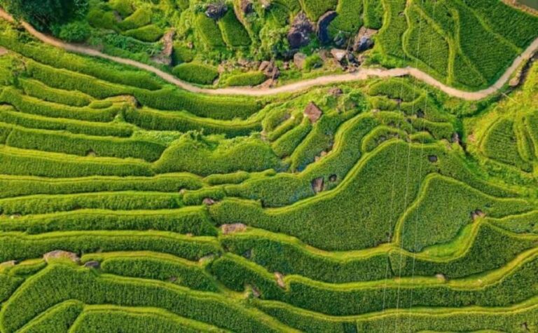 Hanoi: 4-day tour Immersion in the heart of the villages of northern Vietnam - What Makes This Tour Stand Out