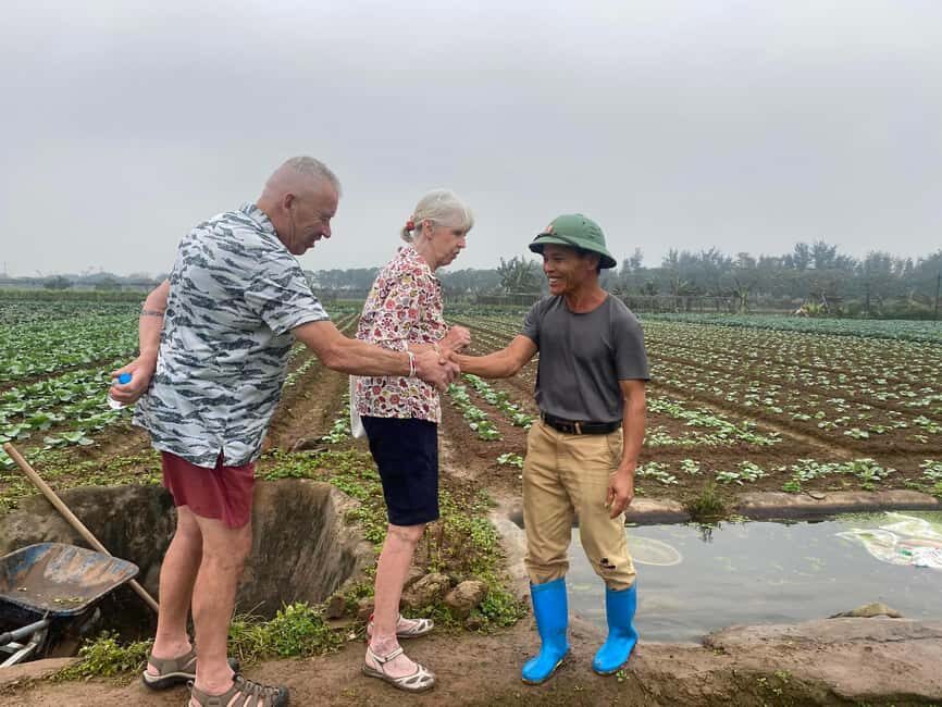 Hanoi: Dong Ho Painting Village & Dau Pagoda Tour with Lunch - Visiting Dau Pagoda: Vietnam’s Oldest Religious Site