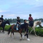 Hanoi Horseback Riding Tour - Exclusive Experience - The Experience as Seen Through Travelers’ Eyes