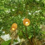 Hanoi: Rose Kitchen: Pho/Bun Cha/Nem+ Free Egg/ Salt Coffee - The Heart of the Experience: Cooking and Cultural Tales