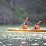 Hanoi to Ha Long Bay: Premium Symphony 5-Star Day Cruise - Who Will Love This Tour?