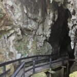 Haruru Waterfalls and Glow Worm Caves Tour - The Sum Up