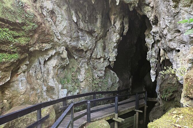 Haruru Waterfalls and Glow Worm Caves Tour - The Sum Up