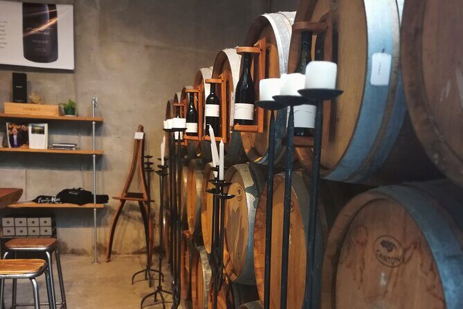 Hawkes Bay Wine Tour: Explore NZ's Great Wine Capital - A Detailed Look at the Itinerary