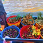 HCMC: Mekong Delta 2-Days My ThoBen Tre & Cai Rang Market - Who Should Consider This Tour?
