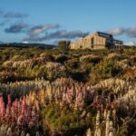 Heartlands Odyssey Comfort Tour 4 Days - Transportation, Group Size, and Value