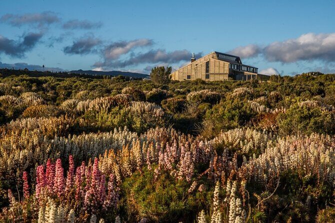 Heartlands Odyssey Comfort Tour 4 Days - Transportation, Group Size, and Value