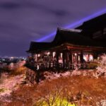 Higashiyama | Kyoto: Sakura Season Private Rickshaw Tour - Who Should Consider This Tour?
